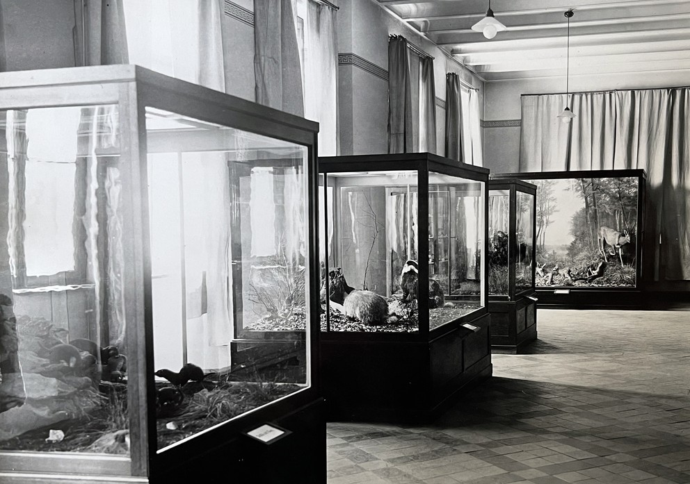 LWL | Über uns | Rückblick 2022 - 130-jähriges Jubiläum vom Museum ...